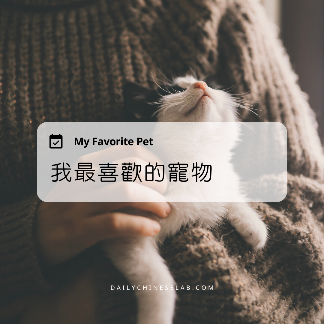 我最喜歡的寵物 My Favorite Pet - Daily Chinese Lab - Learn mandarin everyday ...
