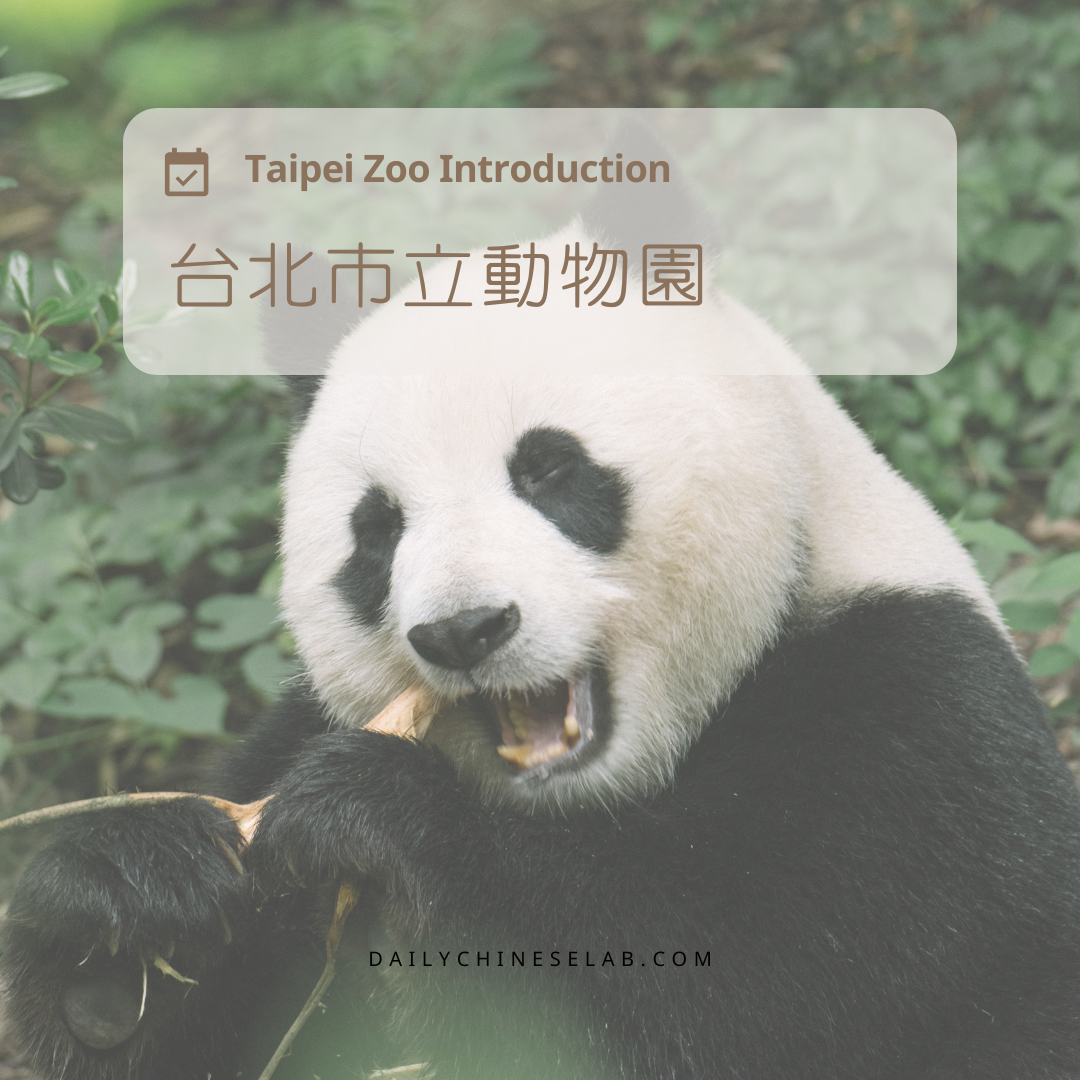 台北市立動物園 Taipei Zoo Introduction - Daily Chinese Lab - Learn mandarin ...